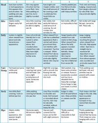 Body Condition Score - Miniature Potbellied Pig Registry Service