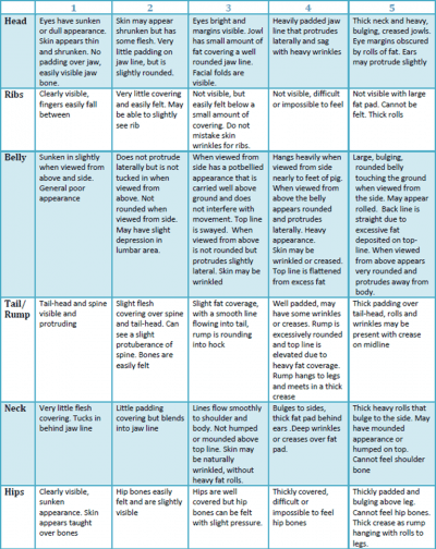 Body Condition Score - Miniature Potbellied Pig Registry Service